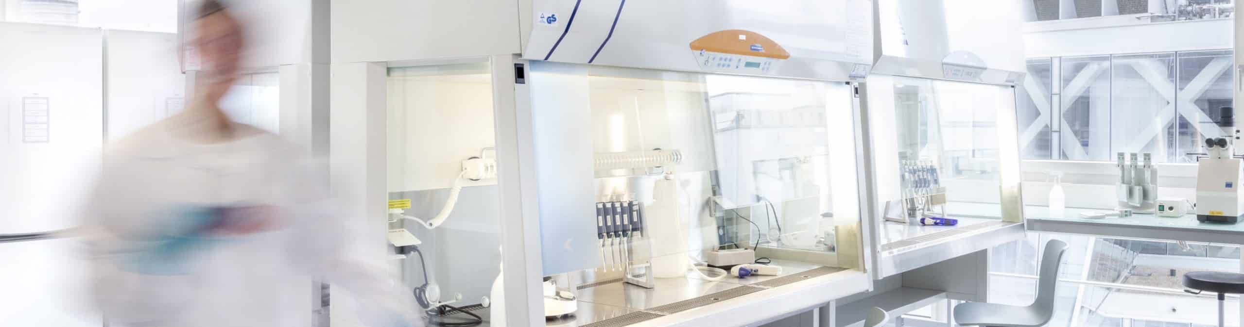 Find your local startup accelerator program or individual support